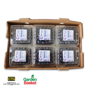 Blueberries (125g per pack) (12 packs per carton) Origin: USA — HORECA ...