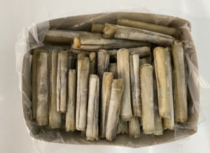 Razor clam (Bamboo clam) 1kg/pack (sold per pack) — HORECA Suppliers ...