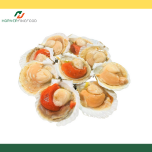 [Frozen] Half Shell Scallop 9-10 1KG (Sold Per Pack) — HORECA Suppliers ...