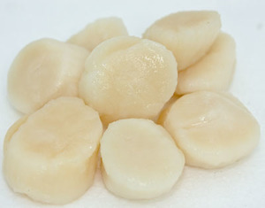 Frozen US Scallop - Size 26-30 2.27kgs/pack (sold per pack) — HORECA ...