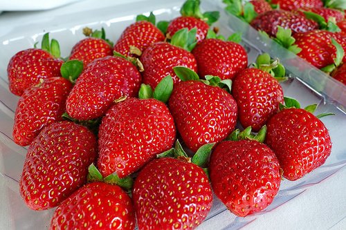 Cameron Strawberry 250g/pack (sold by pack) — HORECA Suppliers ...