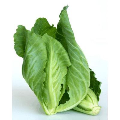 Choy Tam Vegetable (sold by kg) — HORECA Suppliers | Supplybunny