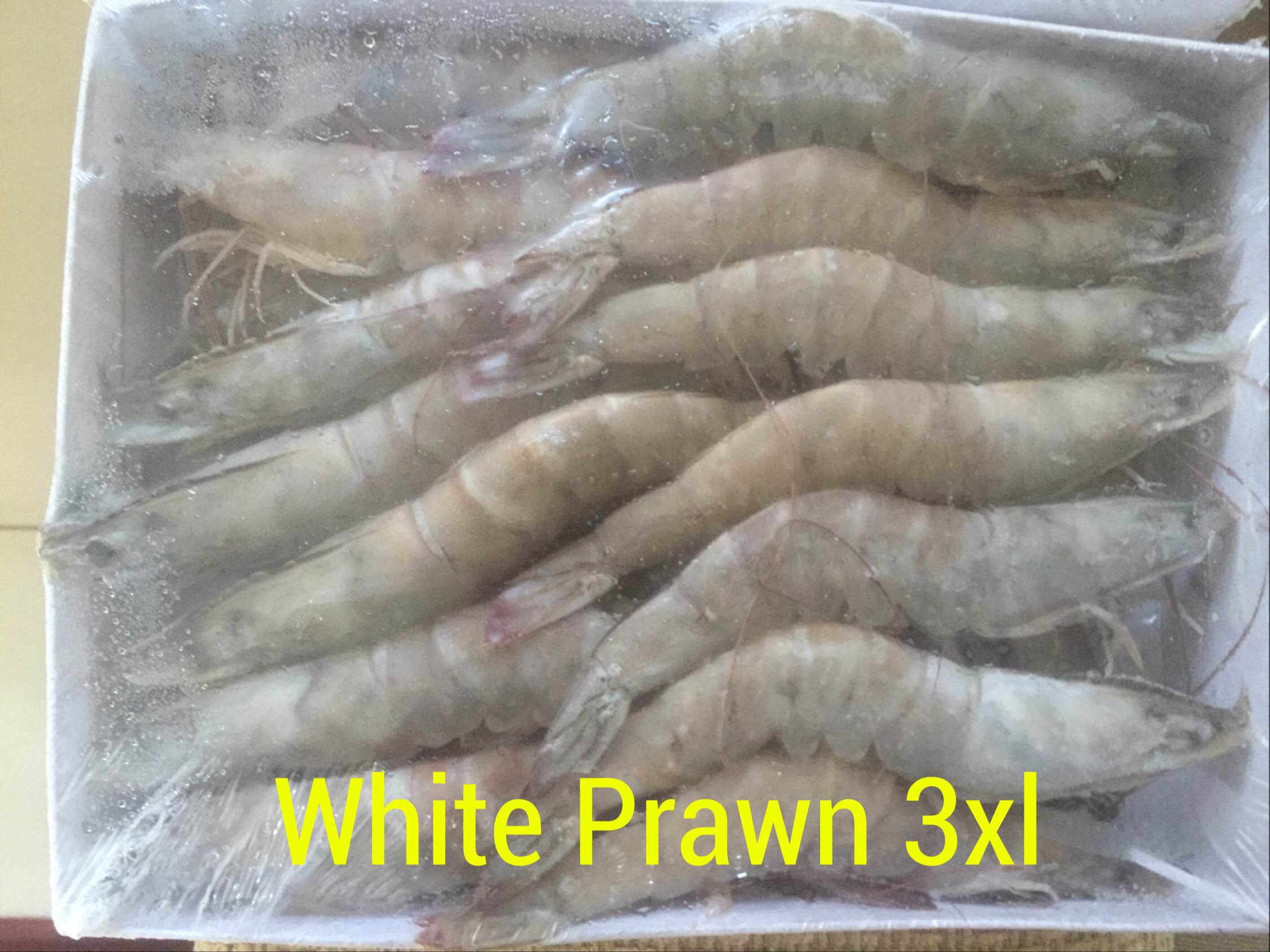 Fresh White Prawn Size 3XL 1kg/pack (10 packs per carton) — HORECA ...
