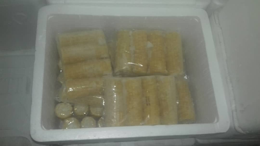 Nelson's Frozen 5 Inch Sweet Corn Cob 4 pieces/pack (24 packs per ...