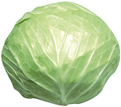 China Round Cabbage (1.2kg+/- per Piece) (Sold per Piece) — HORECA ...