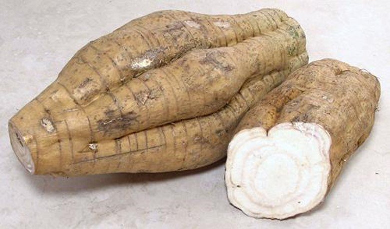 Arrow Root (1kg+/- per Piece) (Sold per Piece) — HORECA Suppliers ...