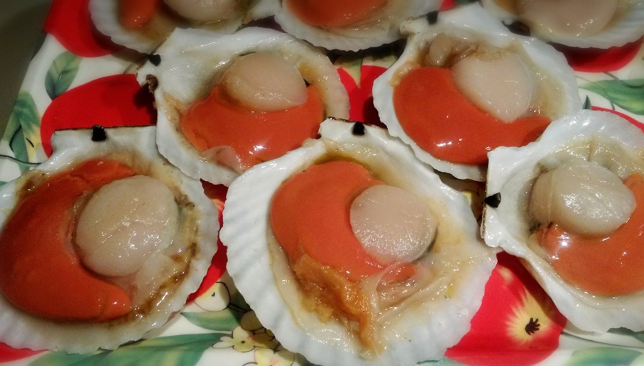 Frozen Half Shell Scallop With Roe 9cm-10cm/pc 10kg/ctn (Sold per ...