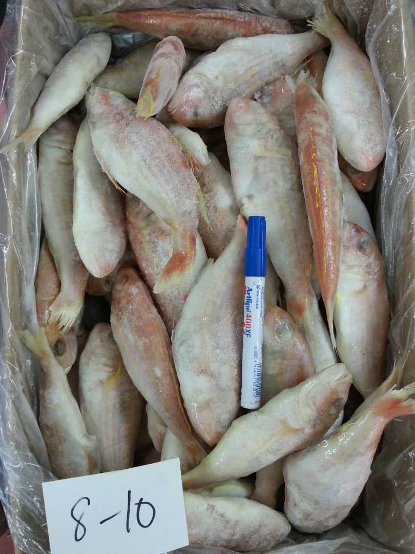 Frozen Ikan Kerisi 100g 125g Pc 10kg Ctn Sold Per Carton — Horeca