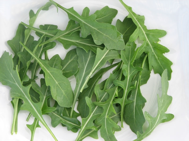 Fresh Herb – Wild Rocket 50g/pack (sold per pack) — HORECA Suppliers ...
