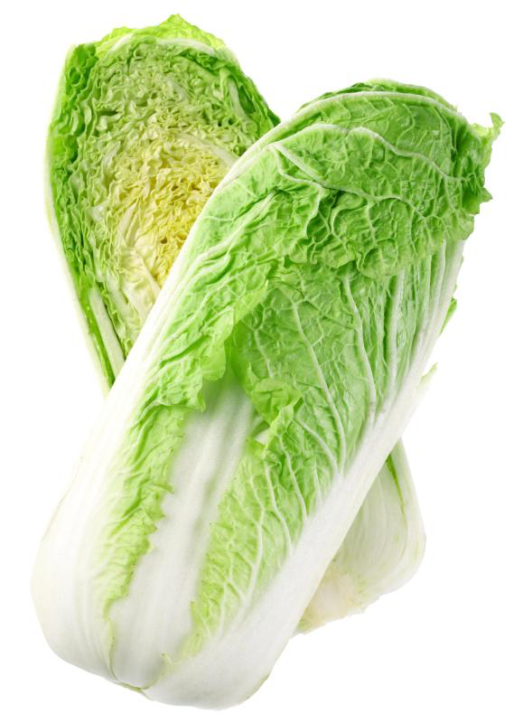 Long Cabbage 1kg+/- per piece (Sold per Piece) — HORECA Suppliers ...