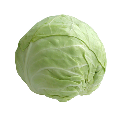 Round Cabbage 2kg+/- per piece (Sold per Piece) — HORECA Suppliers ...