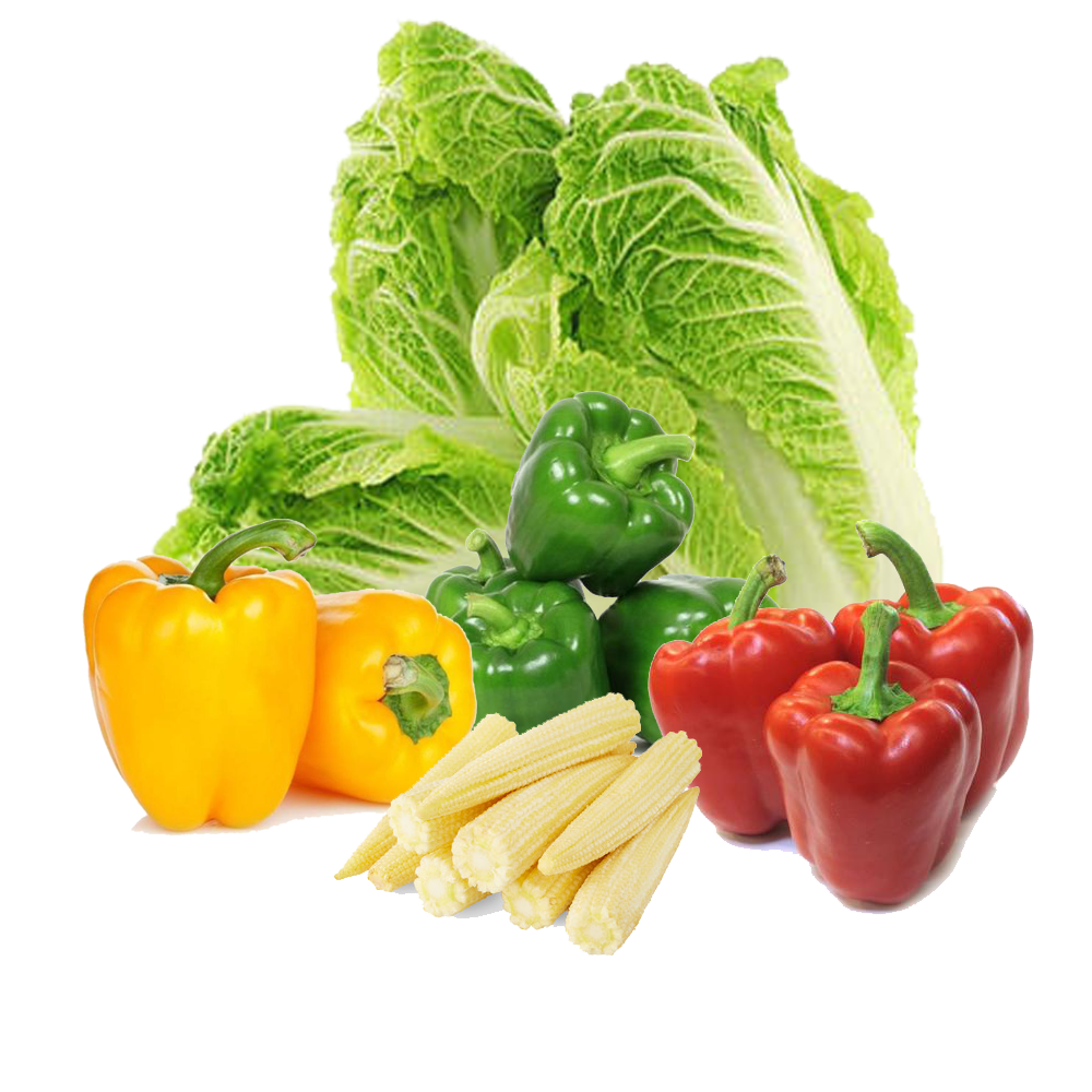 Vegetables Combo Set 6 (Items in Description) — HORECA Suppliers ...