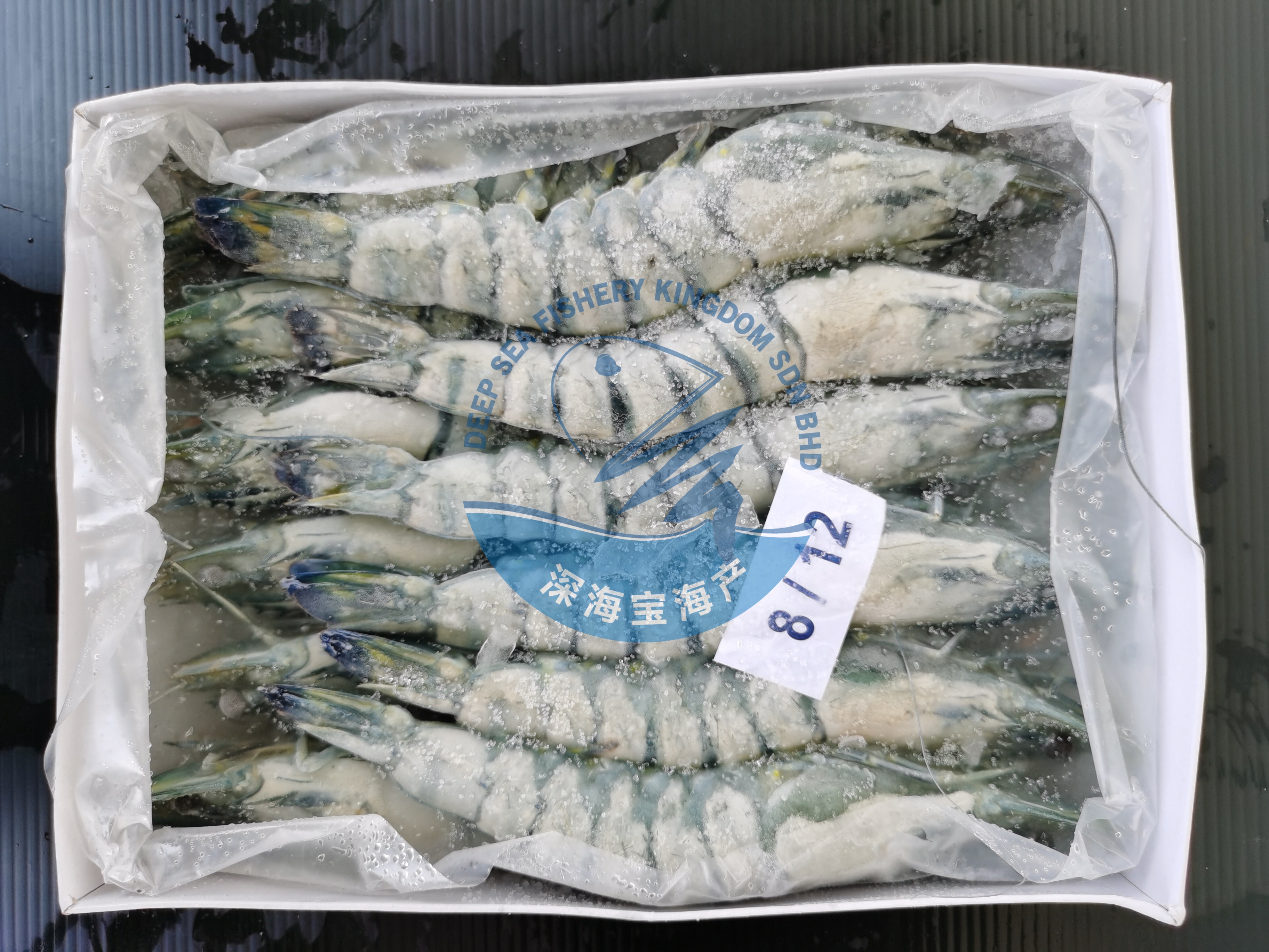 Black Tiger Prawn Xxl Size 8 To 12 Pieces Per Block Sold Per Block
