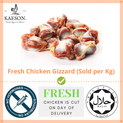Fresh Chicken Gizzard (Cleaned) (Sold per Kg) — HORECA Suppliers ...