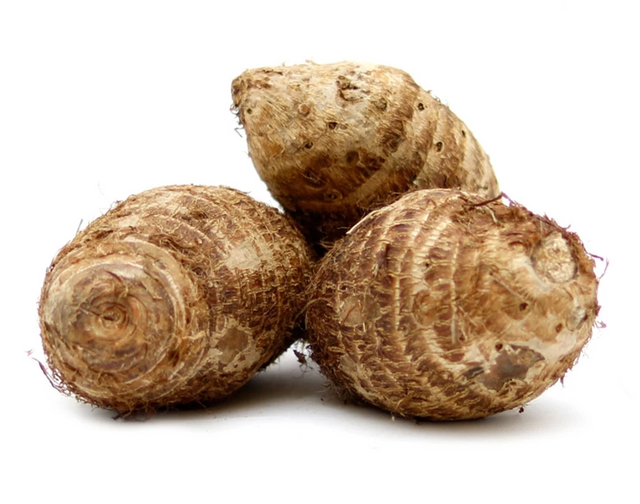 Arrow Root / Fun Kok (Sold per Kg) — HORECA Suppliers | Supplybunny