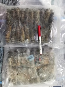 Frozen Yabbies (30-50g per piece) 700g/pack (sold per pack) — HORECA ...