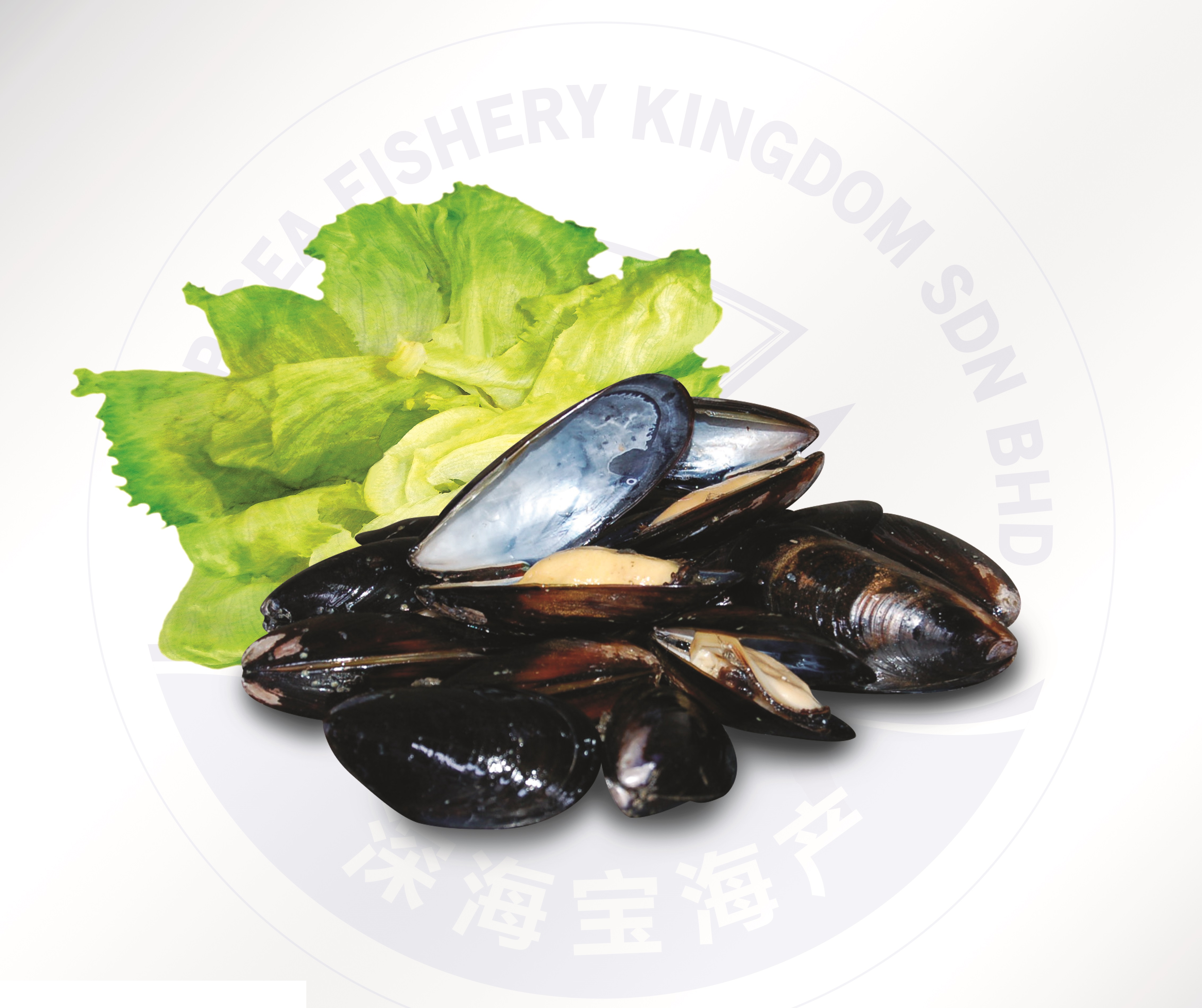 Frozen Full Shell Blue Mussel - Chille 1kg/pack (5 packs per carton ...