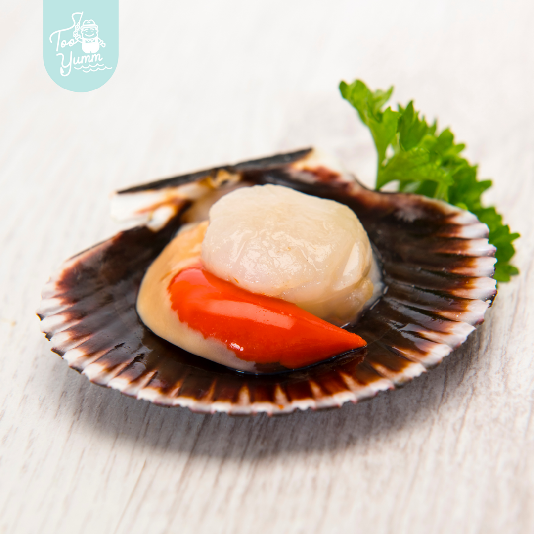 Half Shell Scallop 1kg per pack (Sold Per Pack) — HORECA Suppliers ...