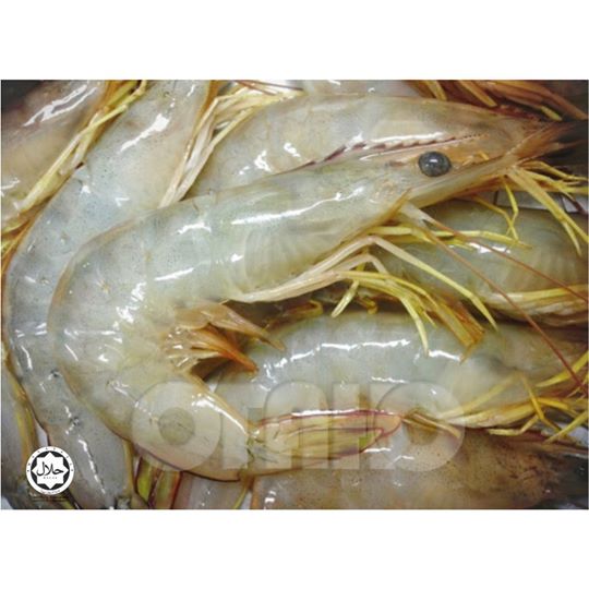 Chilled Sea White Prawn 31 40pcs Pack 1kg Pack Sold Per Pack