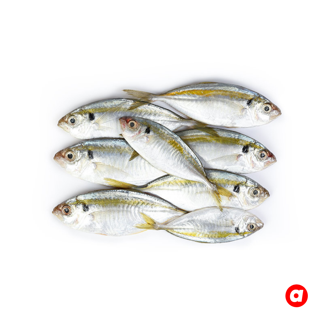 Frozen Selar, Whole Fish (±1kg per pack) — HORECA Suppliers | Supplybunny