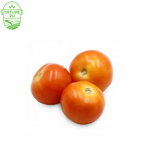 Tomato (500G+-/PKT) — HORECA Suppliers | Supplybunny