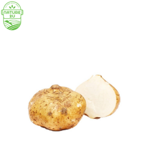 Sengkuang (1.3KG+-/PKT) — HORECA Suppliers | Supplybunny