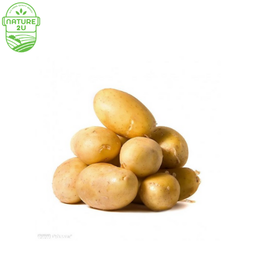 Potato (1KG+-/PKT) — HORECA Suppliers | Supplybunny