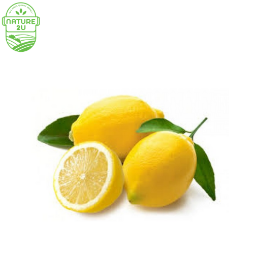 Lemon (600G+-/PKT) — HORECA Suppliers | Supplybunny
