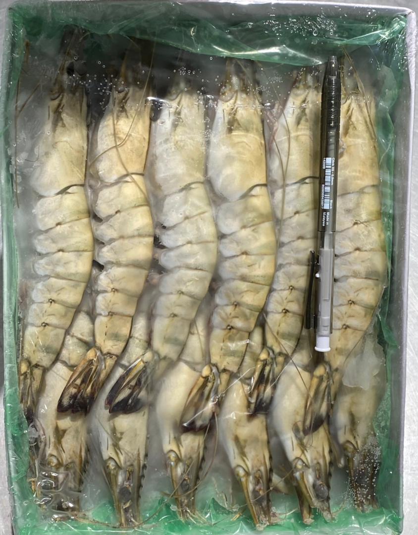 Tiger Prawn 8/12 1kg/pack (sold per pack) — HORECA Suppliers | Supplybunny