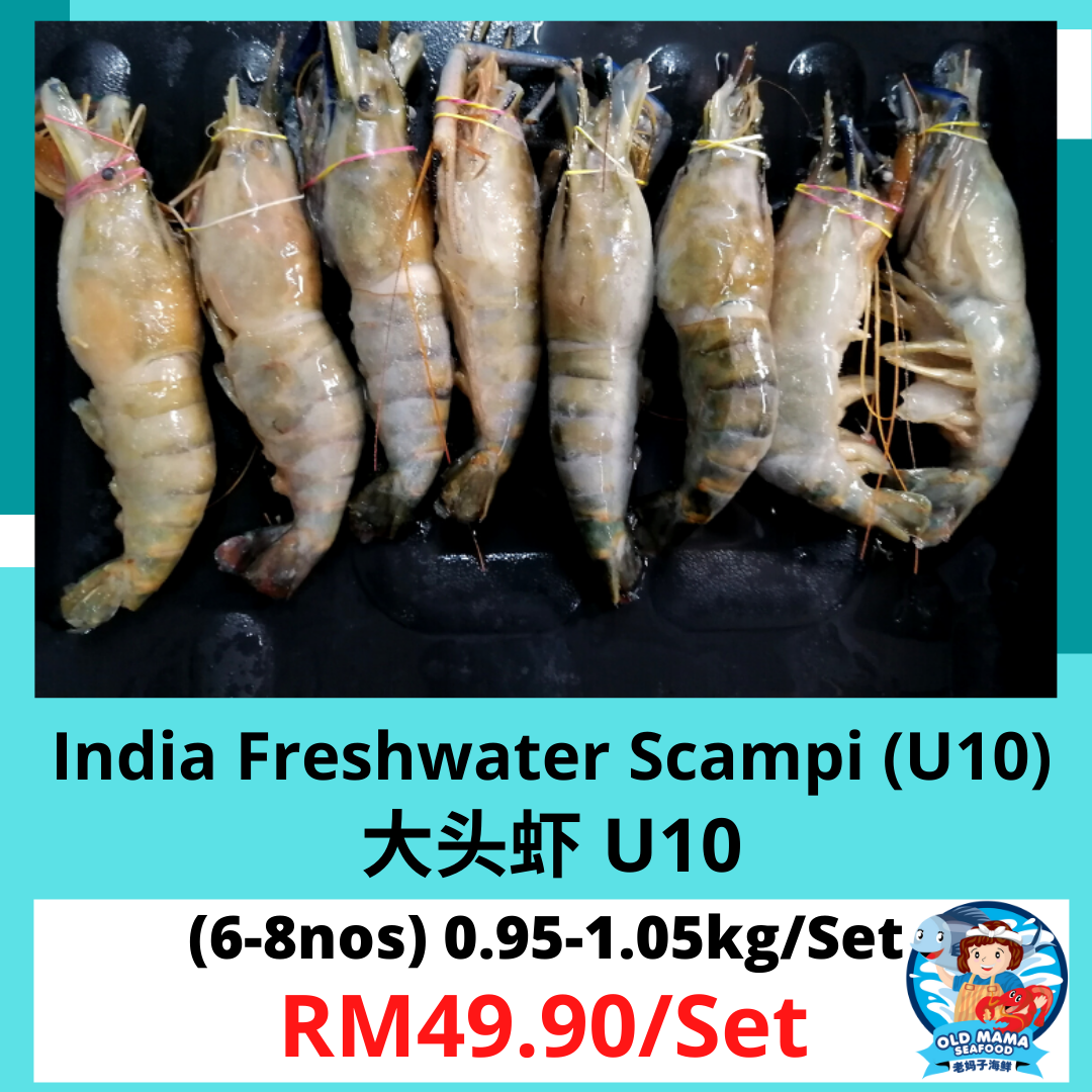India Freshwater Scampi U10 6-8 Pieces, 0.95-1.05kg per Set (Sold per ...