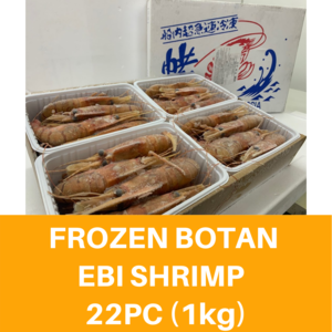 Frozen Botan Ebi Shrimp 22 PC (1kg) Senri Seafood 冷凍牡丹虾 Udang Botan ...