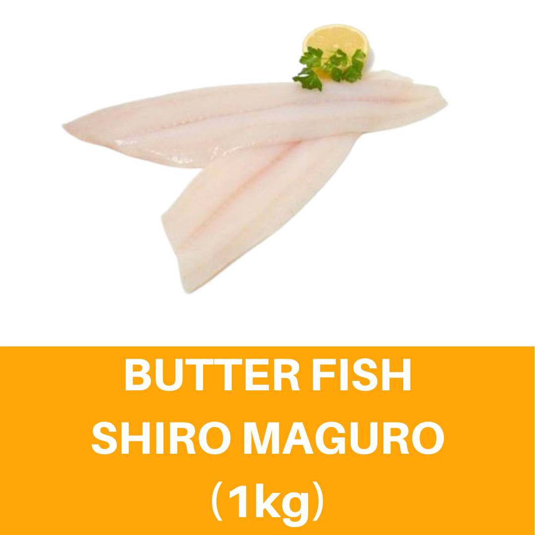 Butter Fish Shiro Maguro (1kg) 奶油魚 Ikan Mentega — HORECA Suppliers ...