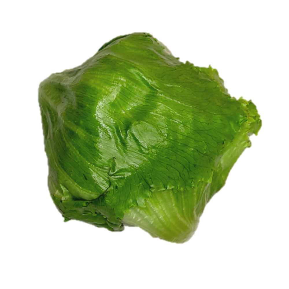Organic Head Lettuce Sold Per Kg — Horeca Suppliers Supplybunny