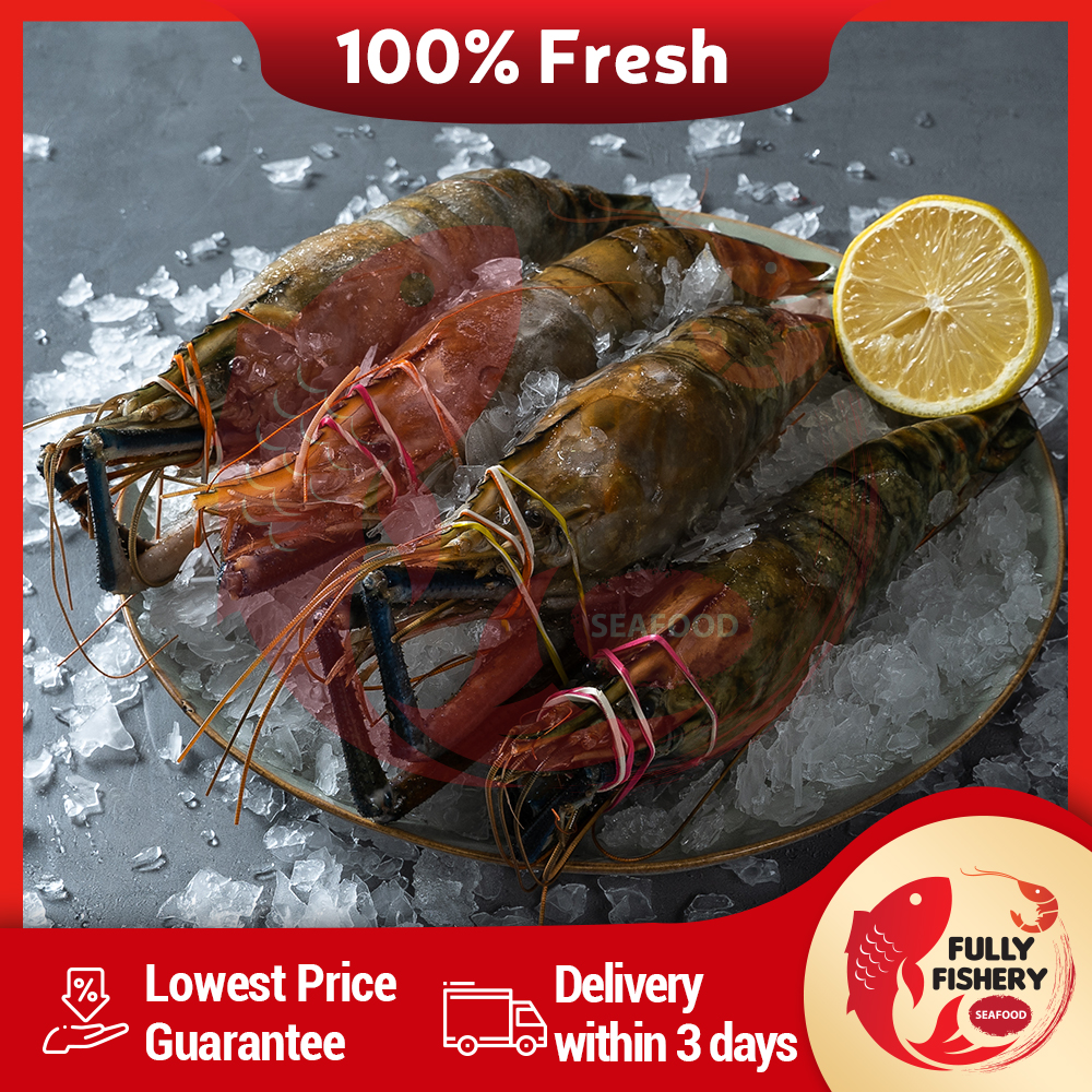 [Fully Fishery] Fresh Water Prawn U7 [950G-1KG] — HORECA Suppliers ...