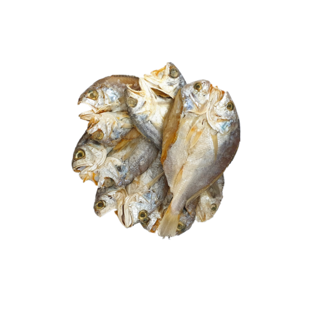 FISH SALTED GELAMA BELAH (Sold per Kg) — HORECA Suppliers | Supplybunny