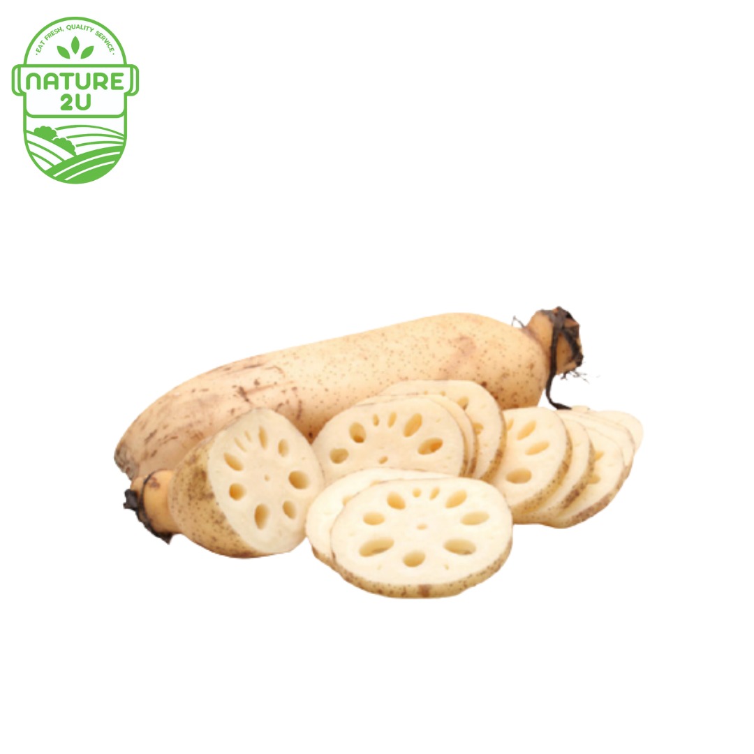 Lotus Root Local (500G+-/PKT) — HORECA Suppliers | Supplybunny