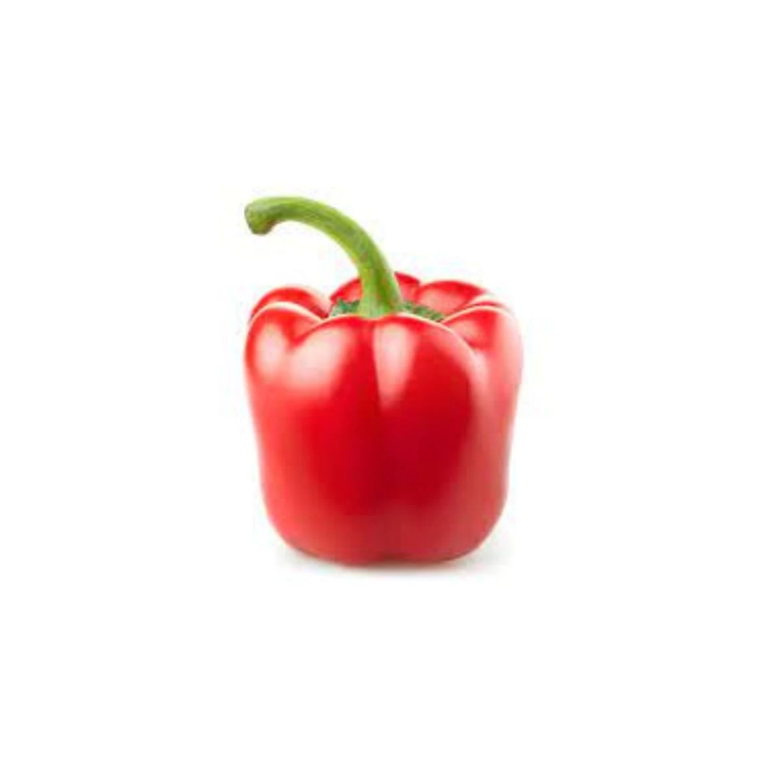 BELL PEPPER Red /Cili Apple Merah (Sold per Kg) — HORECA Suppliers ...