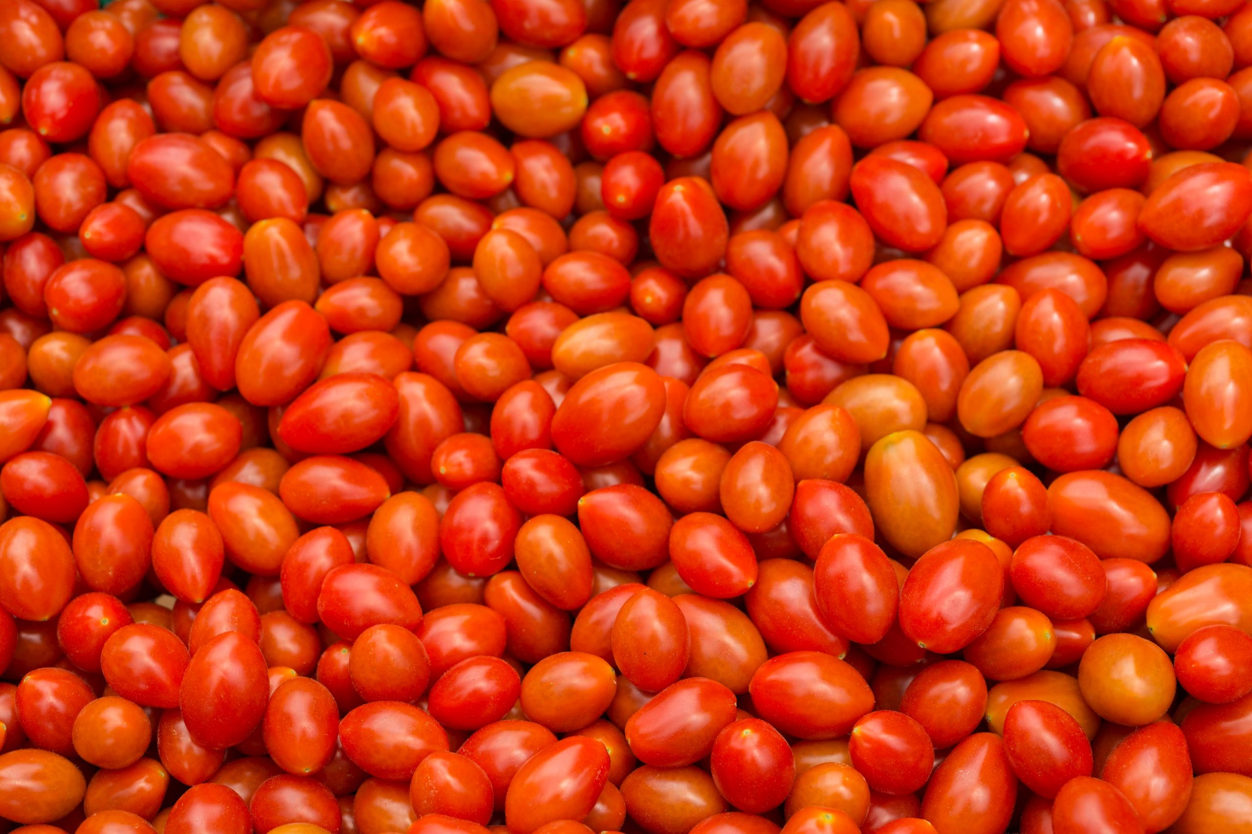 TOMATO CHERRY RED CAMERON 1kg (Sold per Kg) — HORECA Suppliers ...