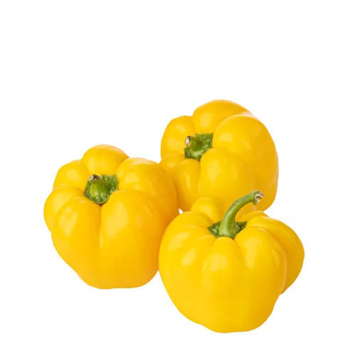 Capsicum Pepper Yellow (sold per kg) — HORECA Suppliers | Supplybunny