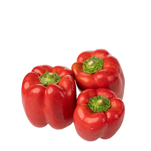 Capsicum Pepper Red (sold per kg) — HORECA Suppliers | Supplybunny