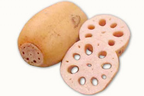 Lotus Root Washed (sold per kg) — HORECA Suppliers | Supplybunny