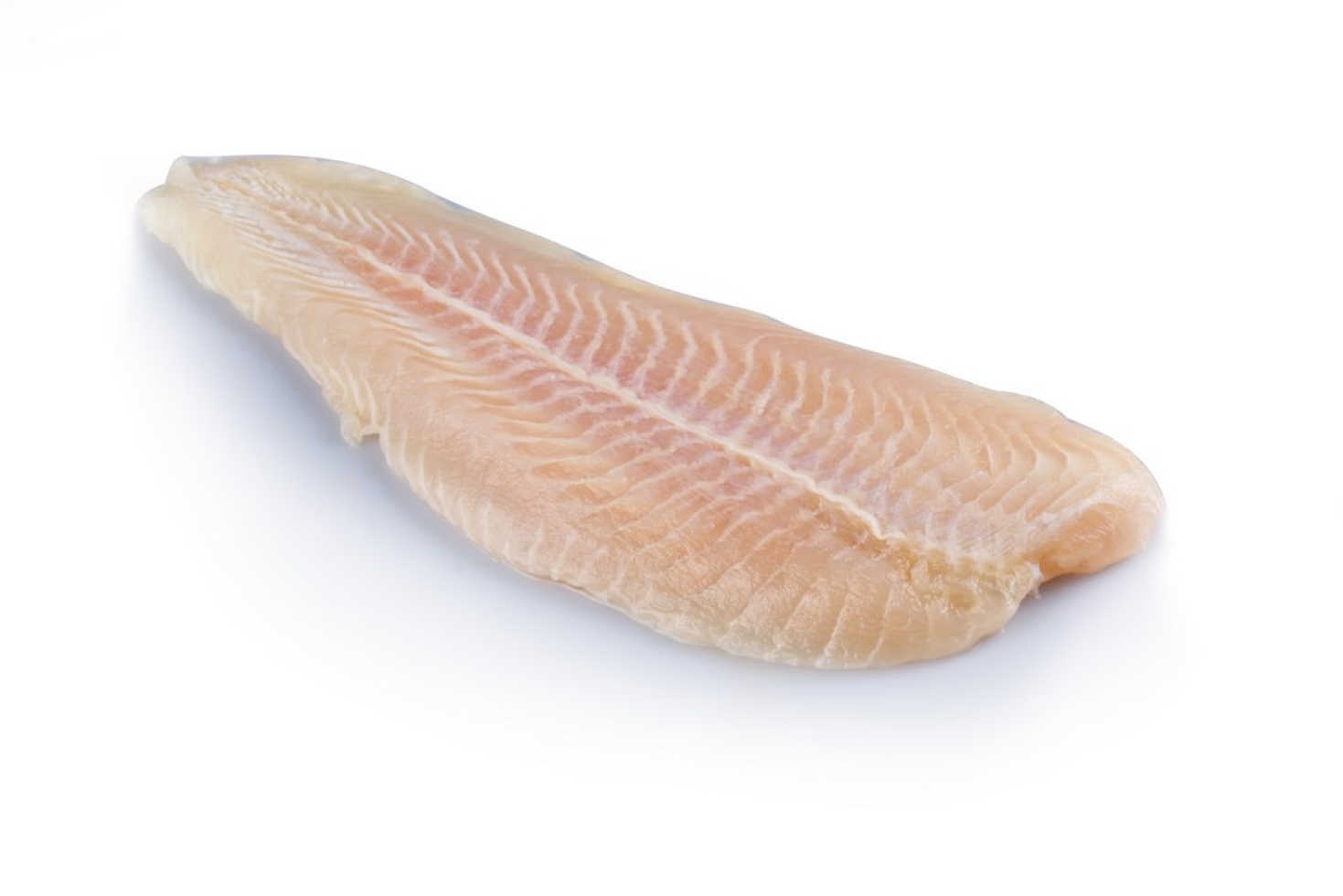 Dory Fish Fillet (30% Glazing) (6kg per carton) — HORECA Suppliers ...