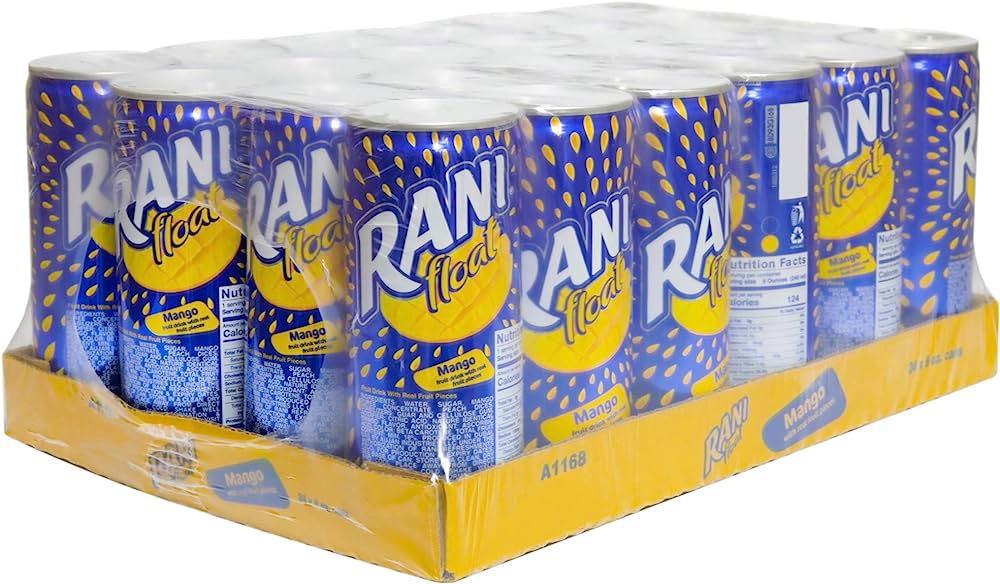 Rani Mango Float Can 240ml x 24 (sold per carton) — HORECA Suppliers ...