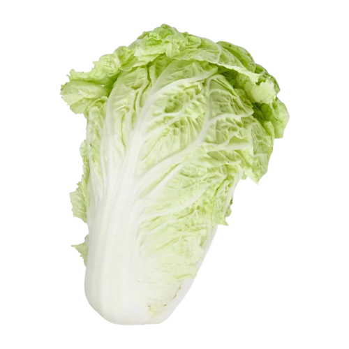 Long Cabbage 10kg± (sold per carton) — HORECA Suppliers | Supplybunny