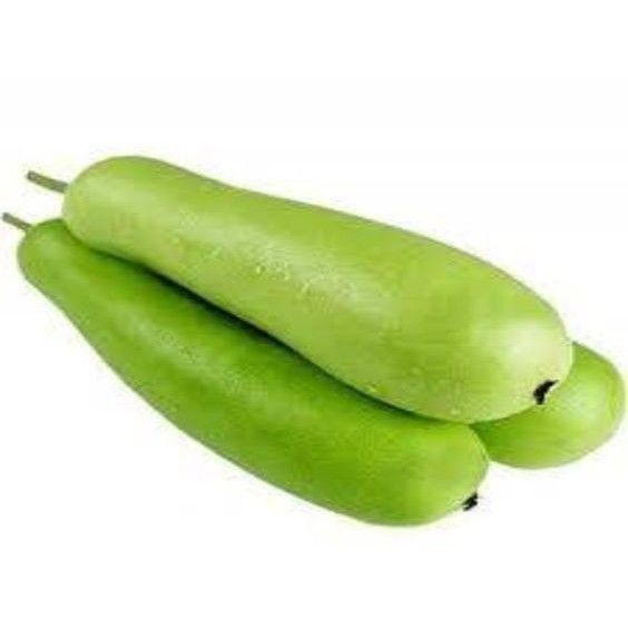Labu Air/Bottle Gourd (sold per kg) — HORECA Suppliers | Supplybunny