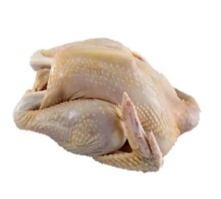 Fresh Spring Chicken 600g (sold per pack) — HORECA Suppliers | Supplybunny